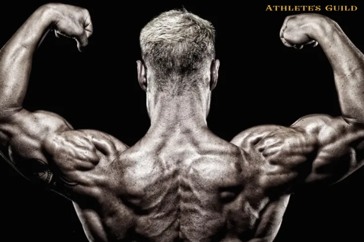 The Science of Muscle Building for Athletes of All Levels